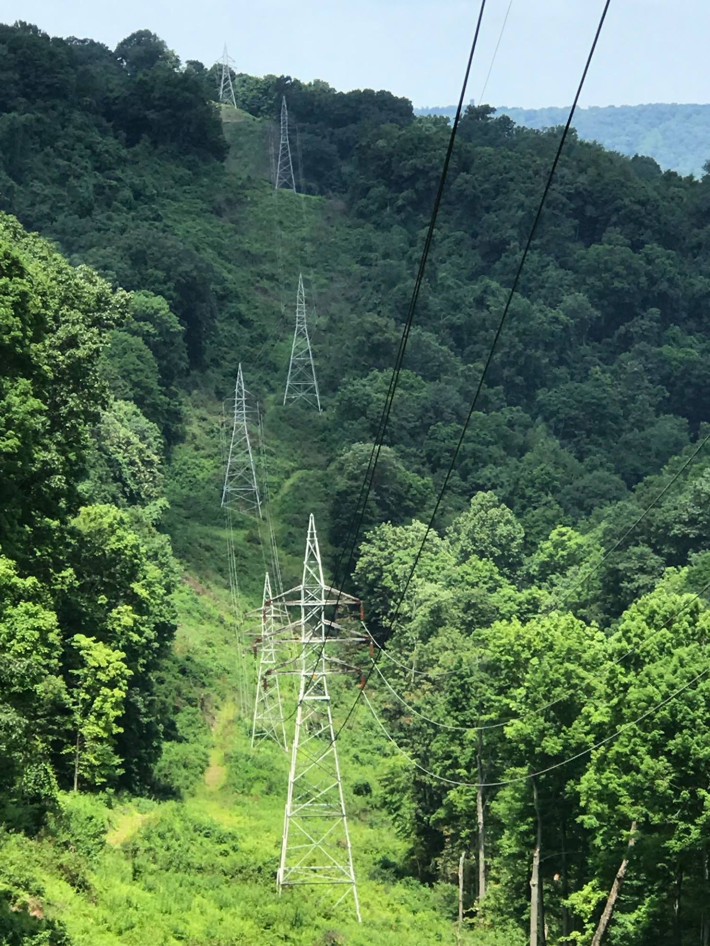 Bruno Island to Crescent (Bi-Crescent) Transmission Line Replacement ...